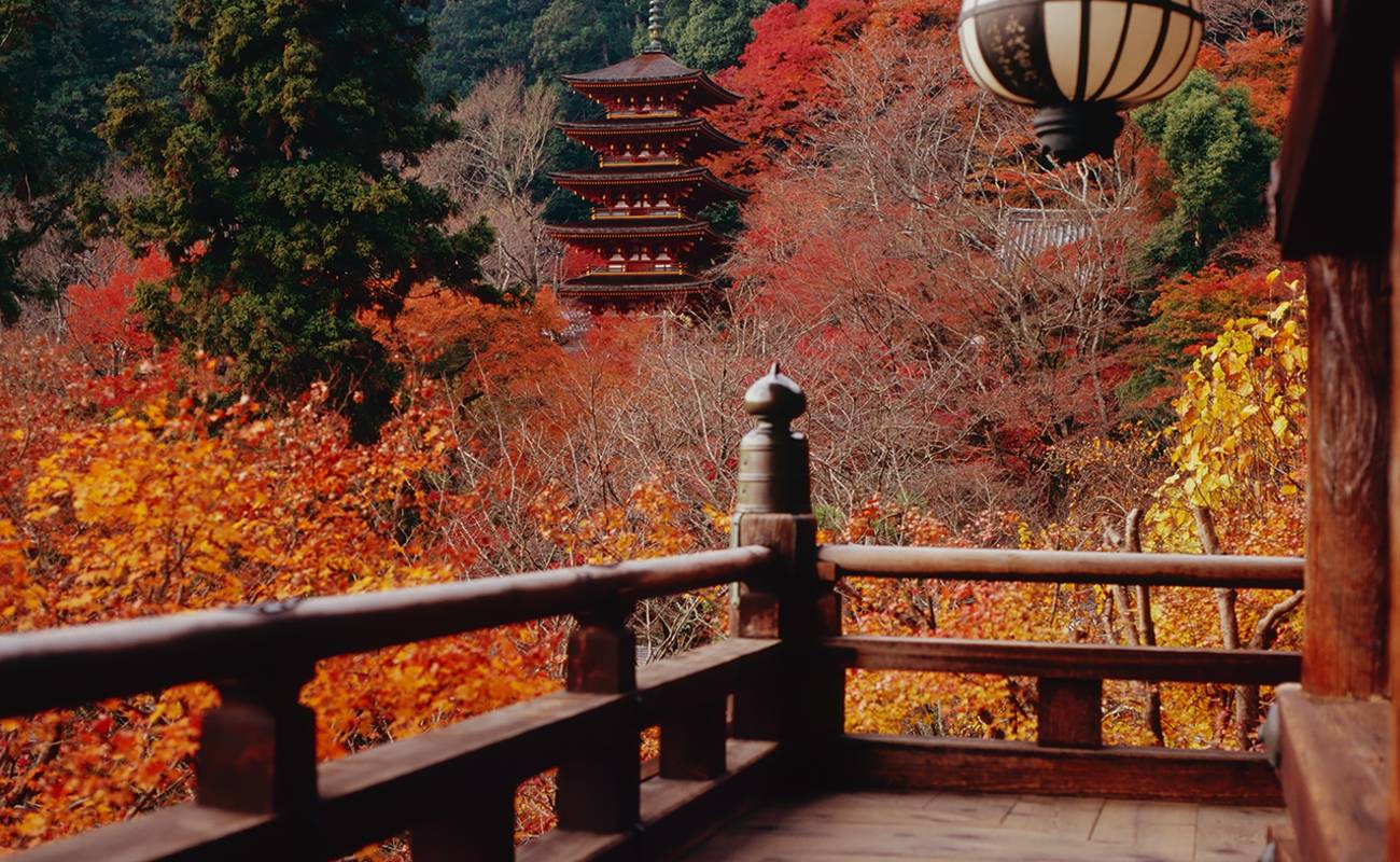 10 Rekomendasi Tempat Wisata untuk Dikunjungi Bulan November di Jepang ...