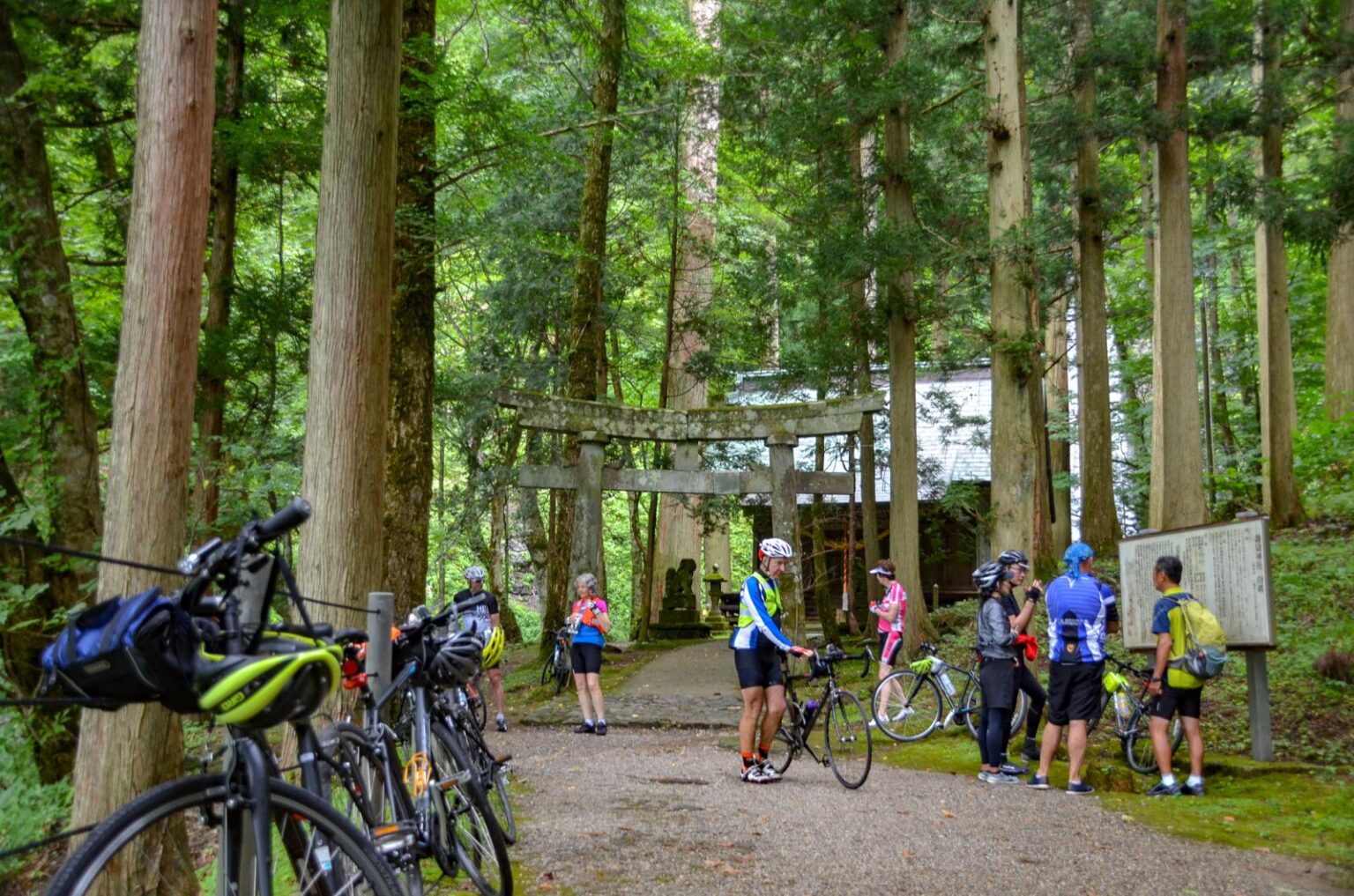 Panduan Penting tentang Bersepeda di Jepang yang Direkomendasikan untuk ...